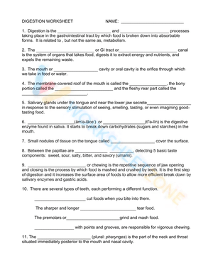 Grade 6 Digestive System Worksheets 2024