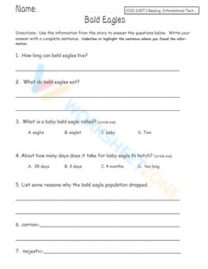 Free Informational Text Worksheets | WorksheetZone