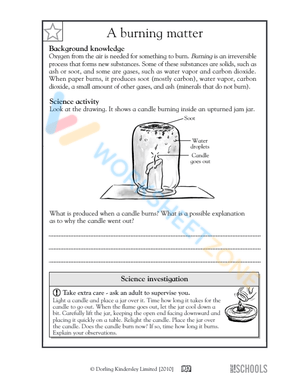5th Grade Science Worksheets 2024