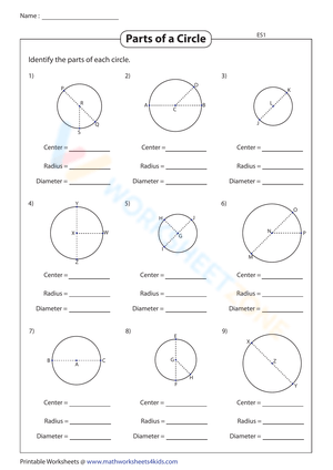 Grade 5 Circles Worksheets 2024