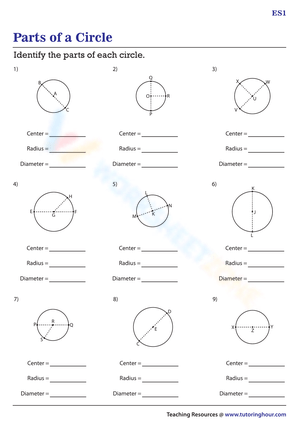 Grade 5 Circles Worksheets 2024