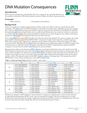 Free Printable Mutations Worksheet with Answer Keys