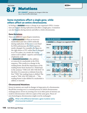 Free Printable Mutations Worksheet with Answer Keys