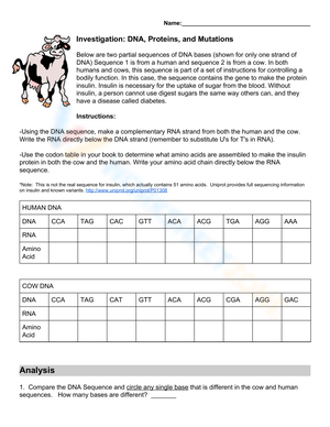 Free Printable Mutations Worksheet with Answer Keys