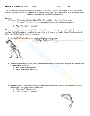 Free Printable Evidence of Evolution Worksheets