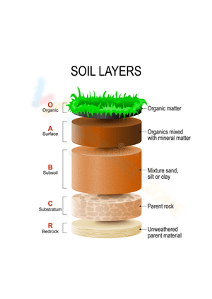 Free Printable Soil Formation Worksheets for Students
