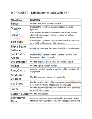 Grade 8 Lab Equipment Answers Worksheets 2024