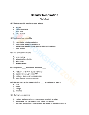 Free Printable Cellular Respiration Worksheet with Answers