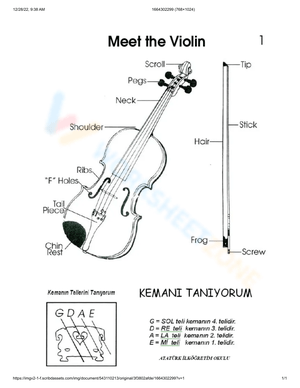 Free Printable Parts of The Violin Worksheets