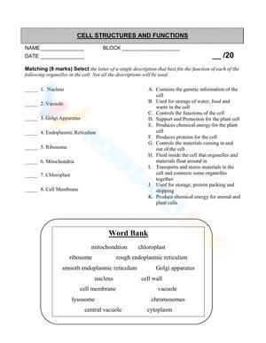 Grade 10 Cell Structure and Function Worksheets 2024