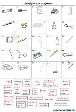 Grade 9 Lab Equipment Answers Worksheets 2024