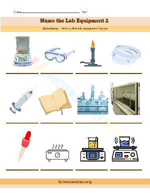 Grade 8 Lab Equipment Answers Worksheets 2024
