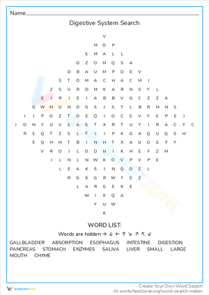 Free And Printable Digestive System Worksheets Grade 5