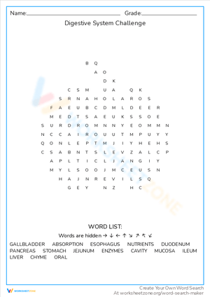 Grade 6 Digestive System Worksheets 2024