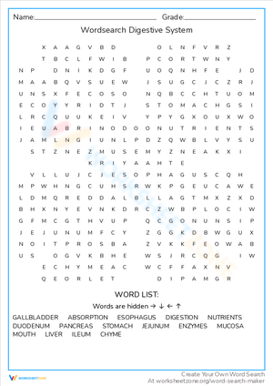 Free And Printable Digestive System Worksheets Grade 5