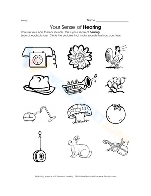 Kindergarten Loud and Soft Sounds Worksheets 2024