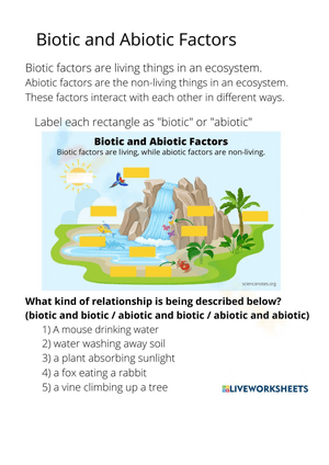 Free Printable Abiotic vs Biotic Factors Worksheets