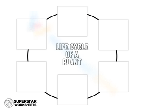Free Printable & Interactive Life Cycle of A Tree Worksheets