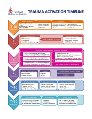 Free Printable Trauma Timeline Worksheets for Students