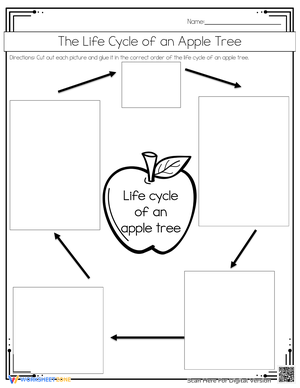 Free Printable Apple Life Cycle Printable Worksheets
