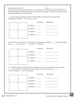 Free Printable Dihybrid Cross Worksheets for Students
