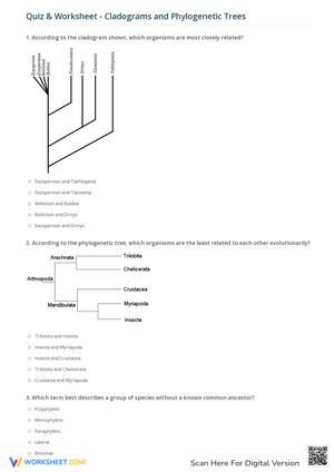Grade 9 Cladogram Worksheets 2024