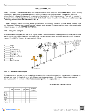 Free Collection of Cladogram Worksheets for Students