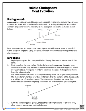 Free Collection of Cladogram Worksheets for Students