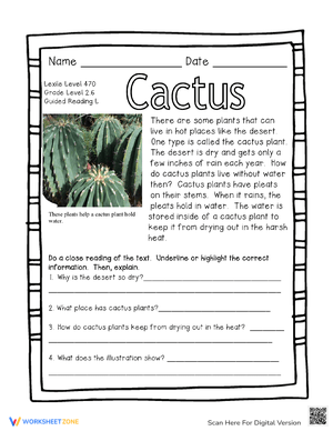 Free Level M Reading Comprehension Worksheets