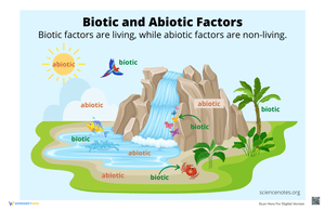 Free Printable Abiotic vs Biotic Factors Worksheets