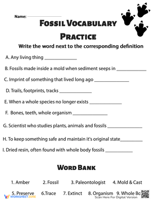 Free Printable Fossils Worksheets for Teaching & Learning