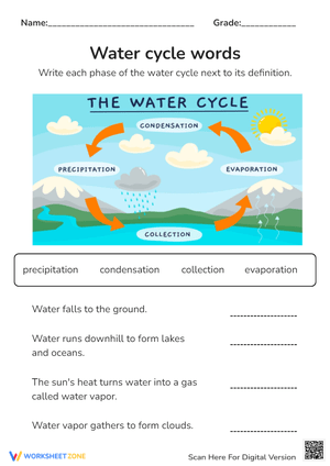 Free Printable Water Cycle Worksheets for All Grades