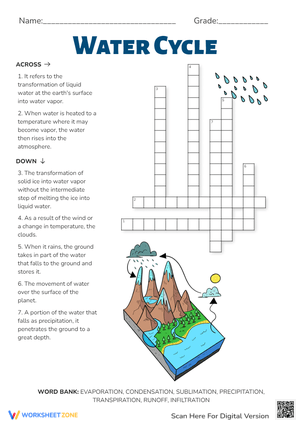 Free Printable Water Cycle Worksheets for All Grades