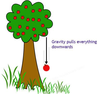 Gravity Worksheets To Explore Forces And Motion